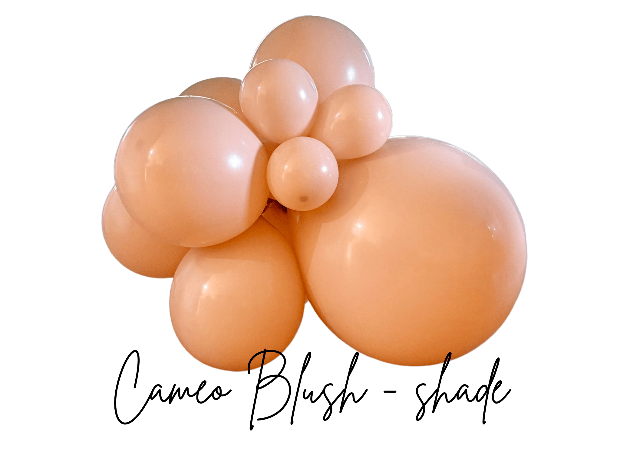 Premium Cameo-Blush Latex Balloon Cluster (5", 11” and 17”) – Balloonee ...